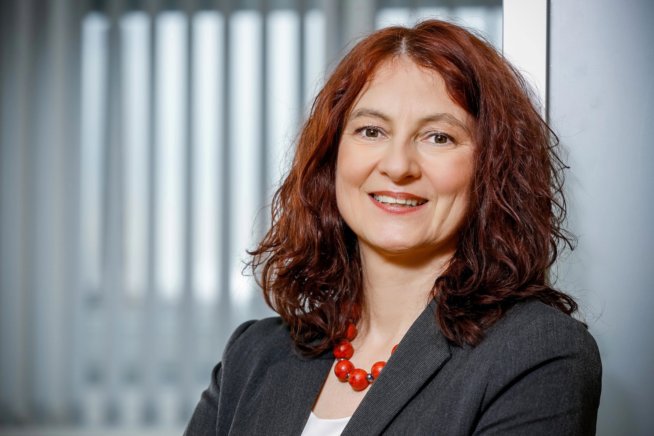 Verband der Bahnindustrie - Vorstand und Geschäftsführung