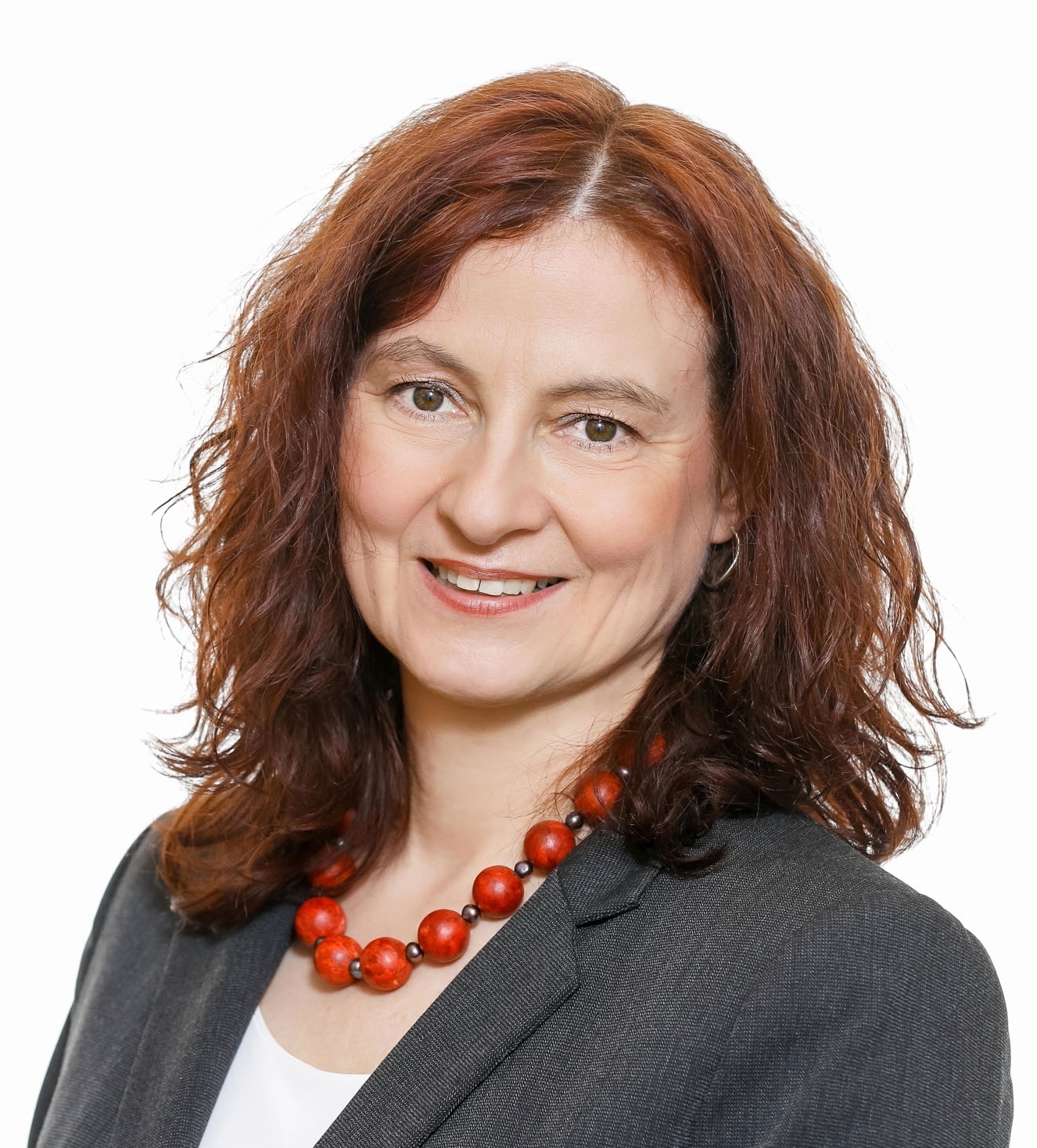 Verband der Bahnindustrie - Vorstand und Geschäftsführung